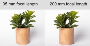 10 Best Lens for Product Photography: As Recommended by Experts - iFoto ...