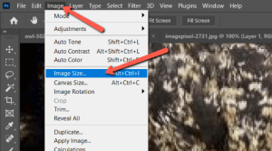 An Ultimate Guide to Fix Pixelated Image — Meaning, Depixelation and ...