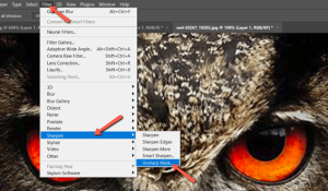 An Ultimate Guide to Fix Pixelated Image — Meaning, Depixelation and ...