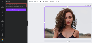 How to Change Color of Image in Canva: A Step-by-Step Guide - iFoto's Blog