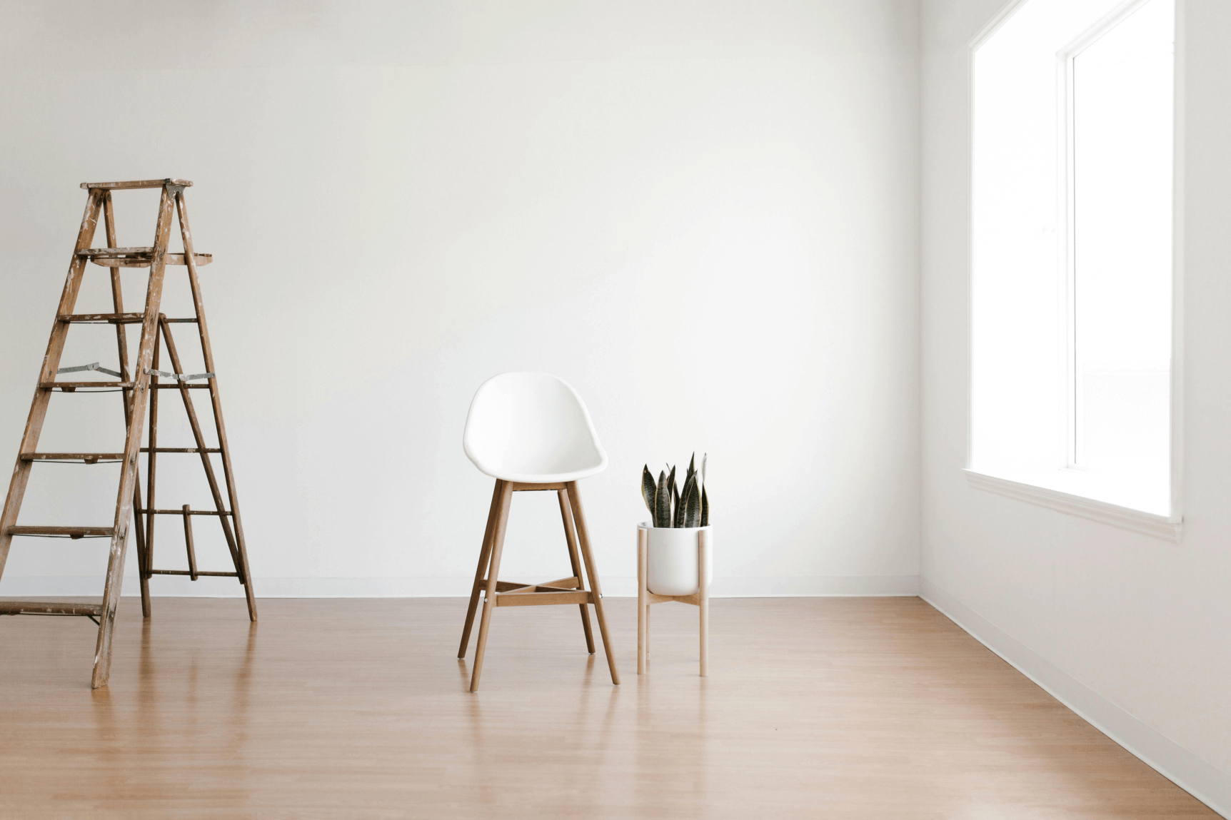 Revealing the Elegance of White Backgrounds: An In-Depth Manual - iFoto ...
