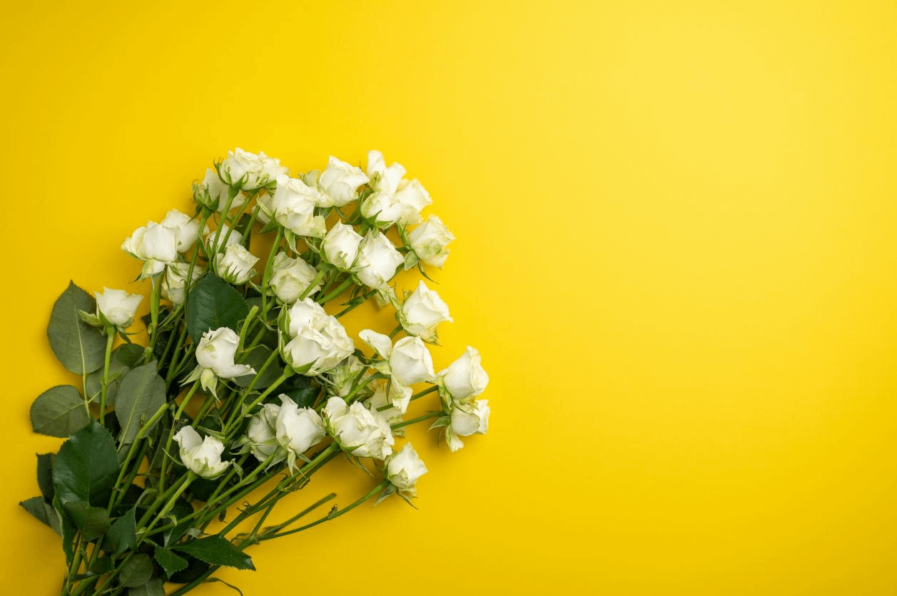 Exploring the Allure of Yellow Backgrounds: An In-Depth Guide - iFoto's ...
